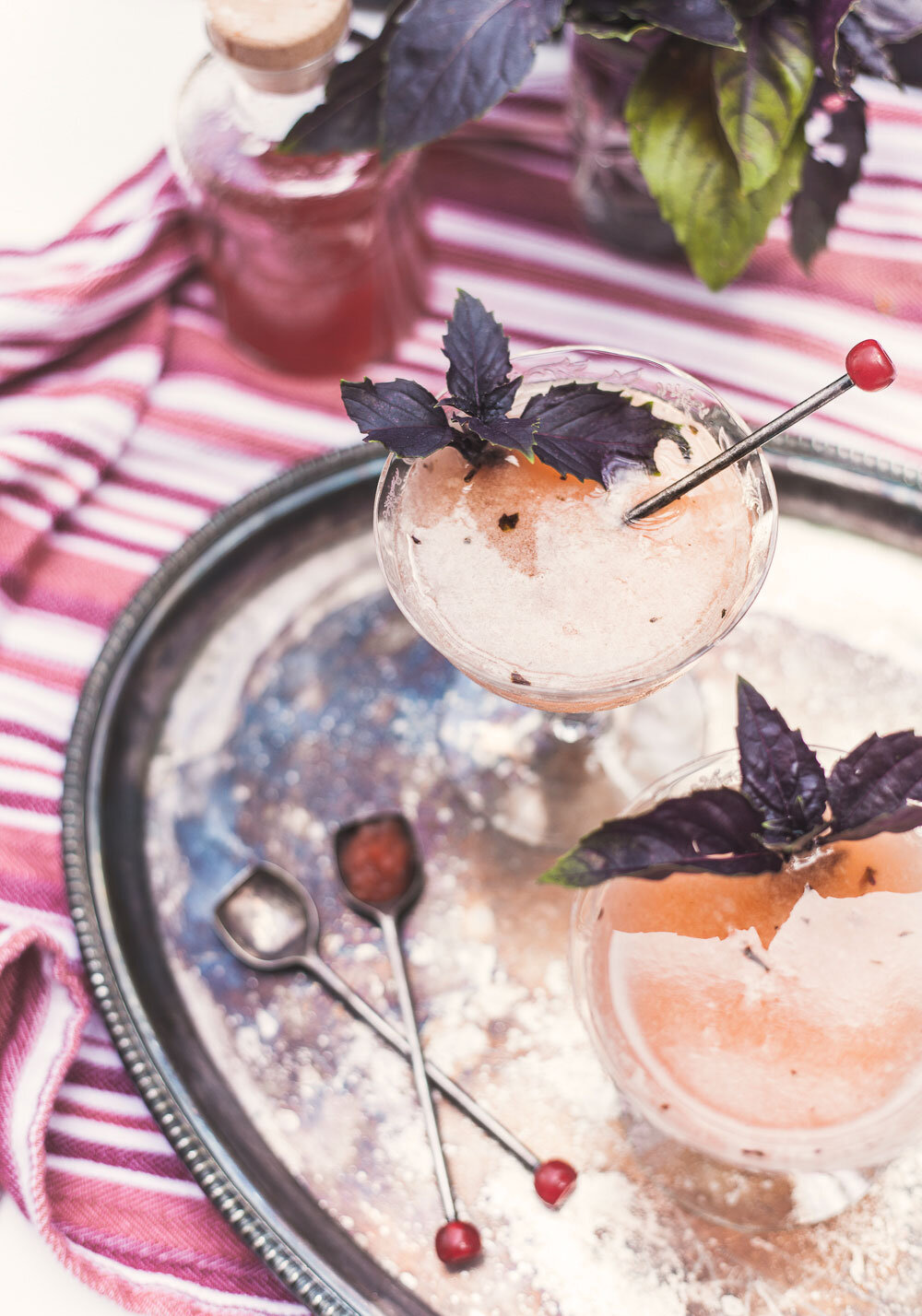 Purple Basil + Rhubarb Sour — Drinking with Chickens- craft cocktail ...