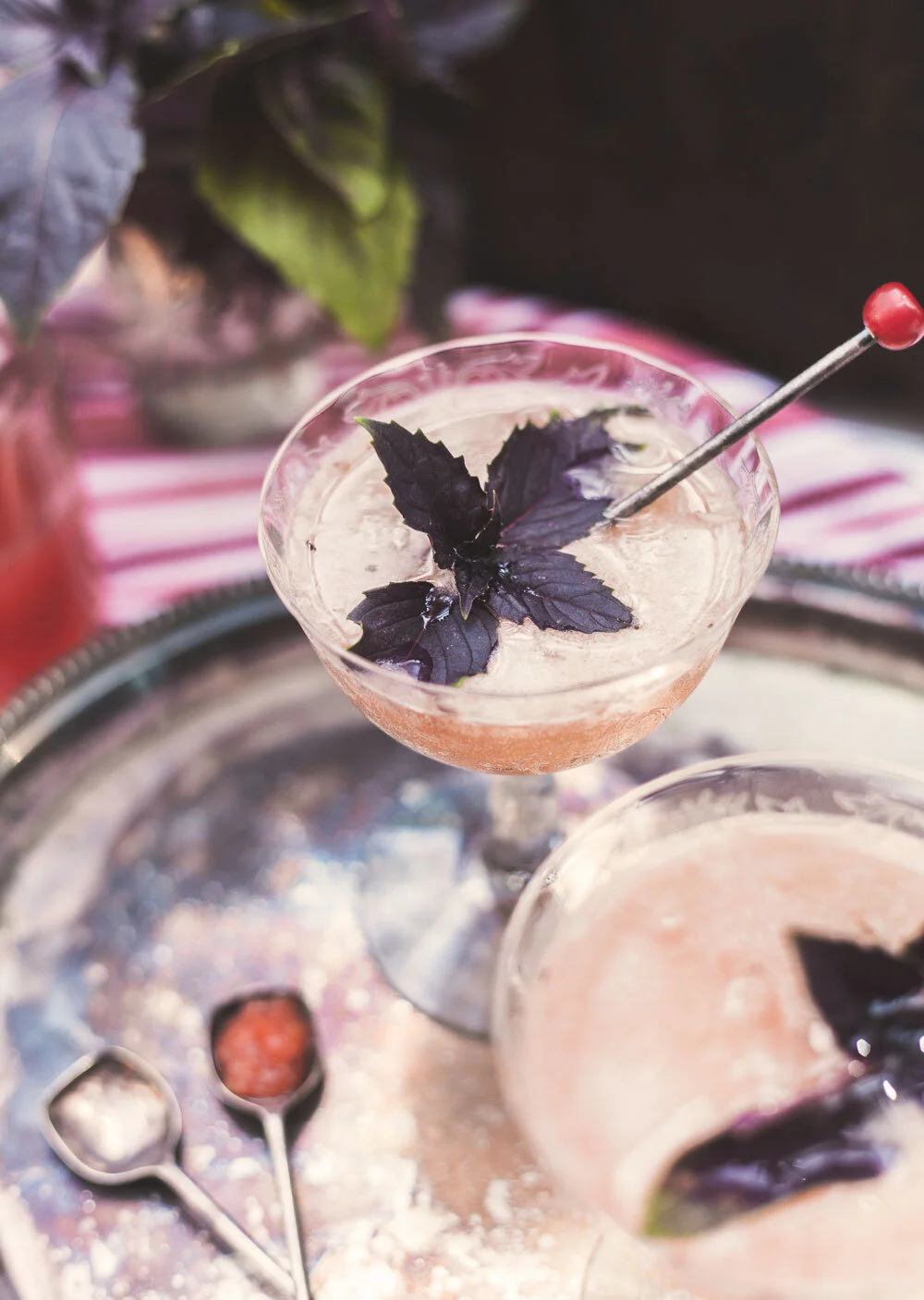 Purple Basil + Rhubarb Sour — Drinking with Chickens- craft cocktail ...