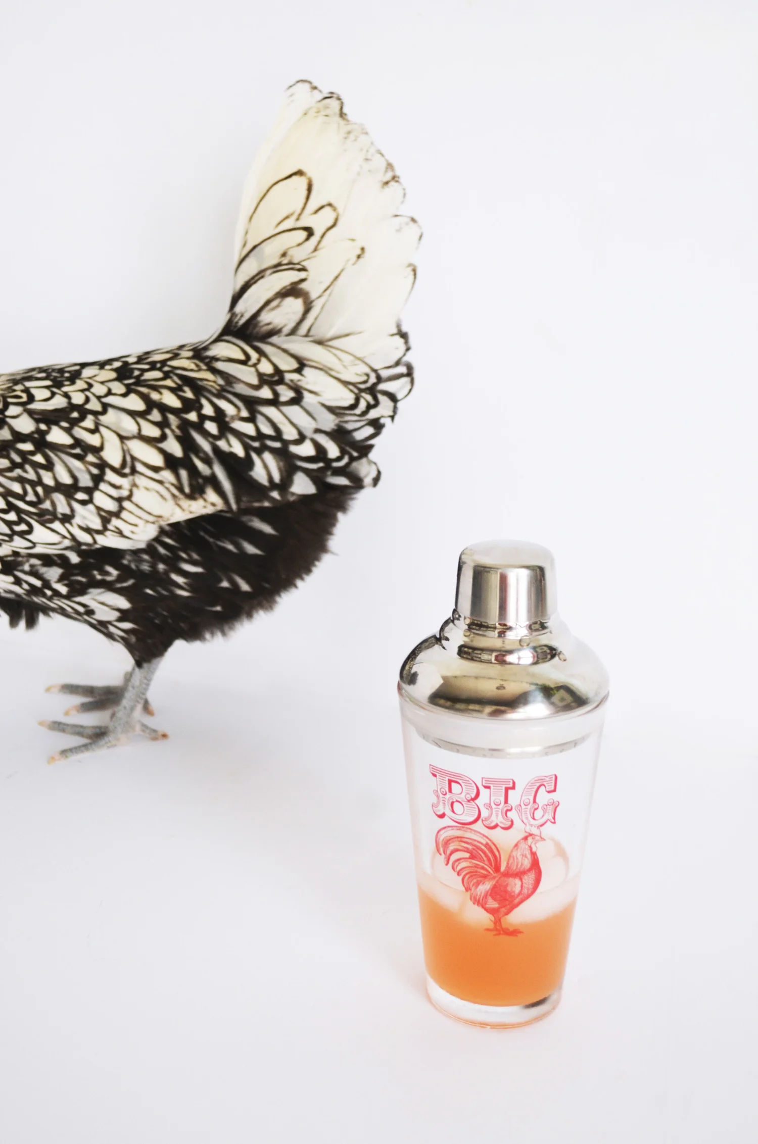 Drinking with Chickens: Giveaway of the Things! — Drinking with ...