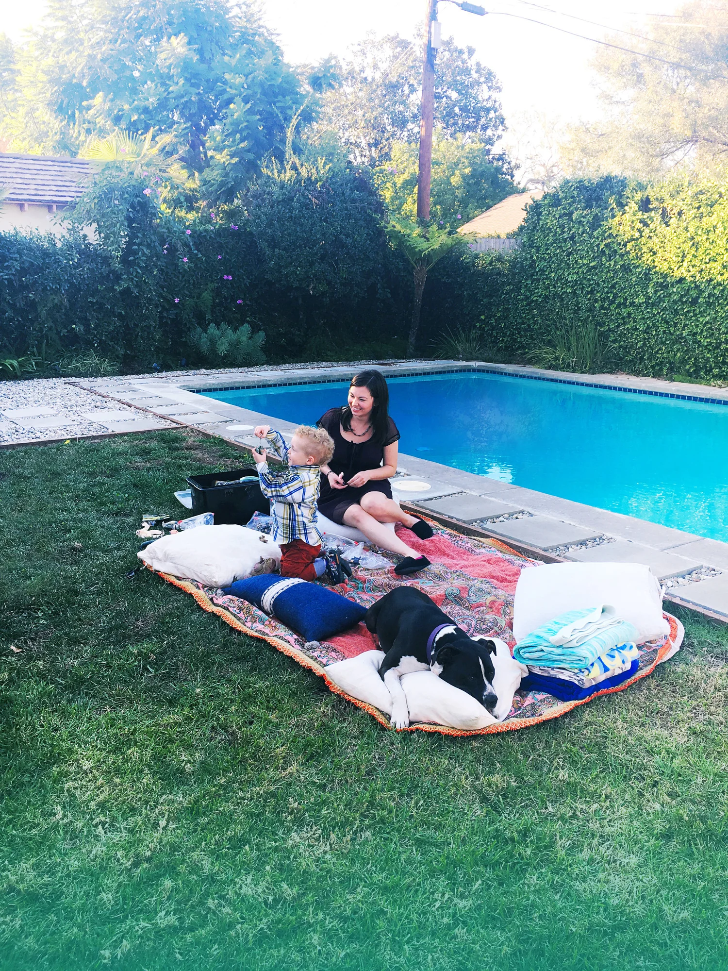 SoCal Holiday Punch — Drinking with Chickens- craft cocktail recipes