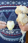 The Nog — Drinking with Chickens- craft cocktail recipes