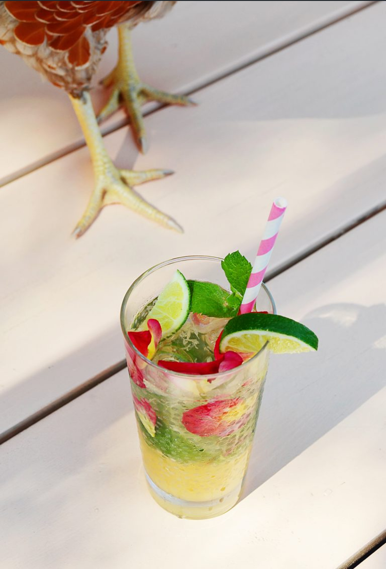 Rose Petal Mojito — Drinking with Chickens- craft cocktail recipes