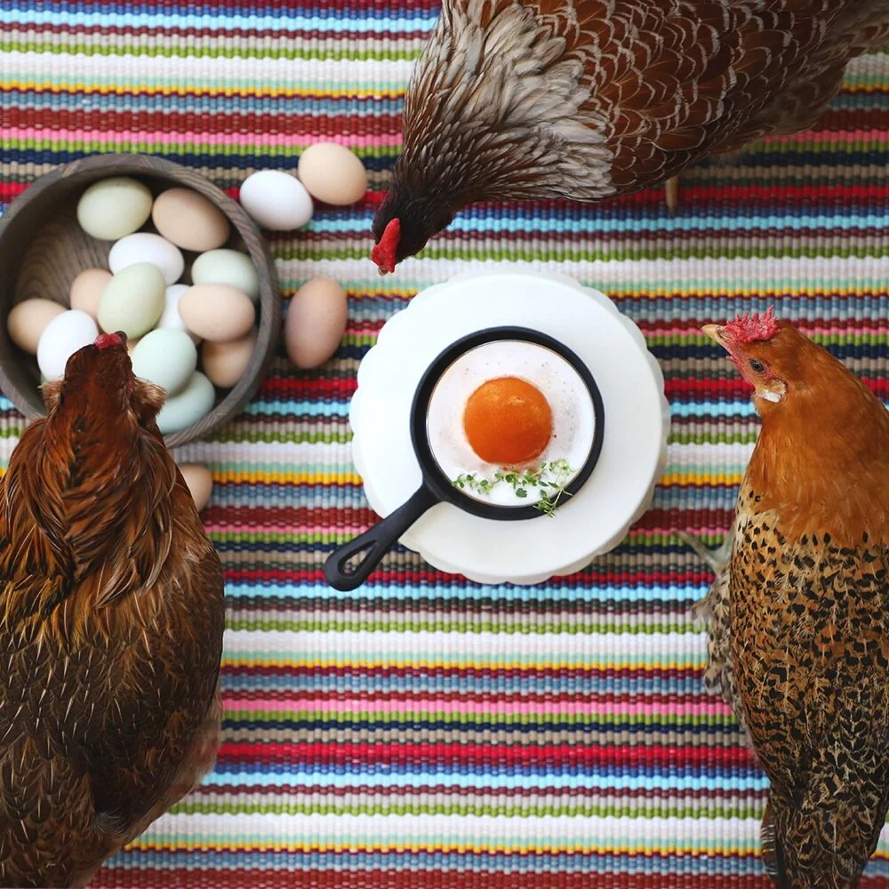 The Sunnyside Up Cocktail — Drinking with Chickens- craft cocktail recipes