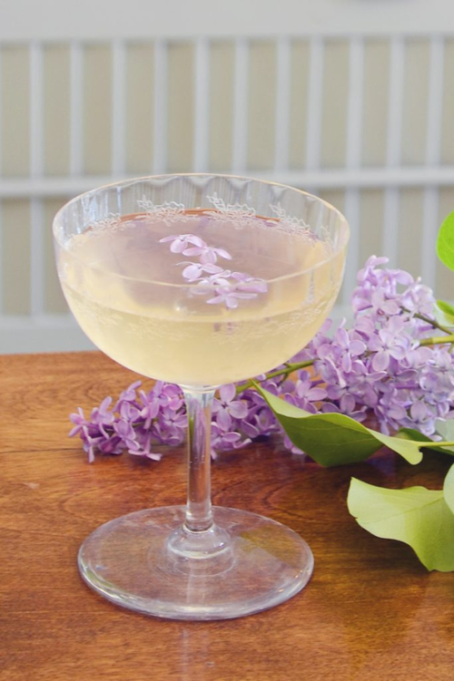 Fresh Lilac Cocktail — Drinking with Chickens- craft cocktail recipes