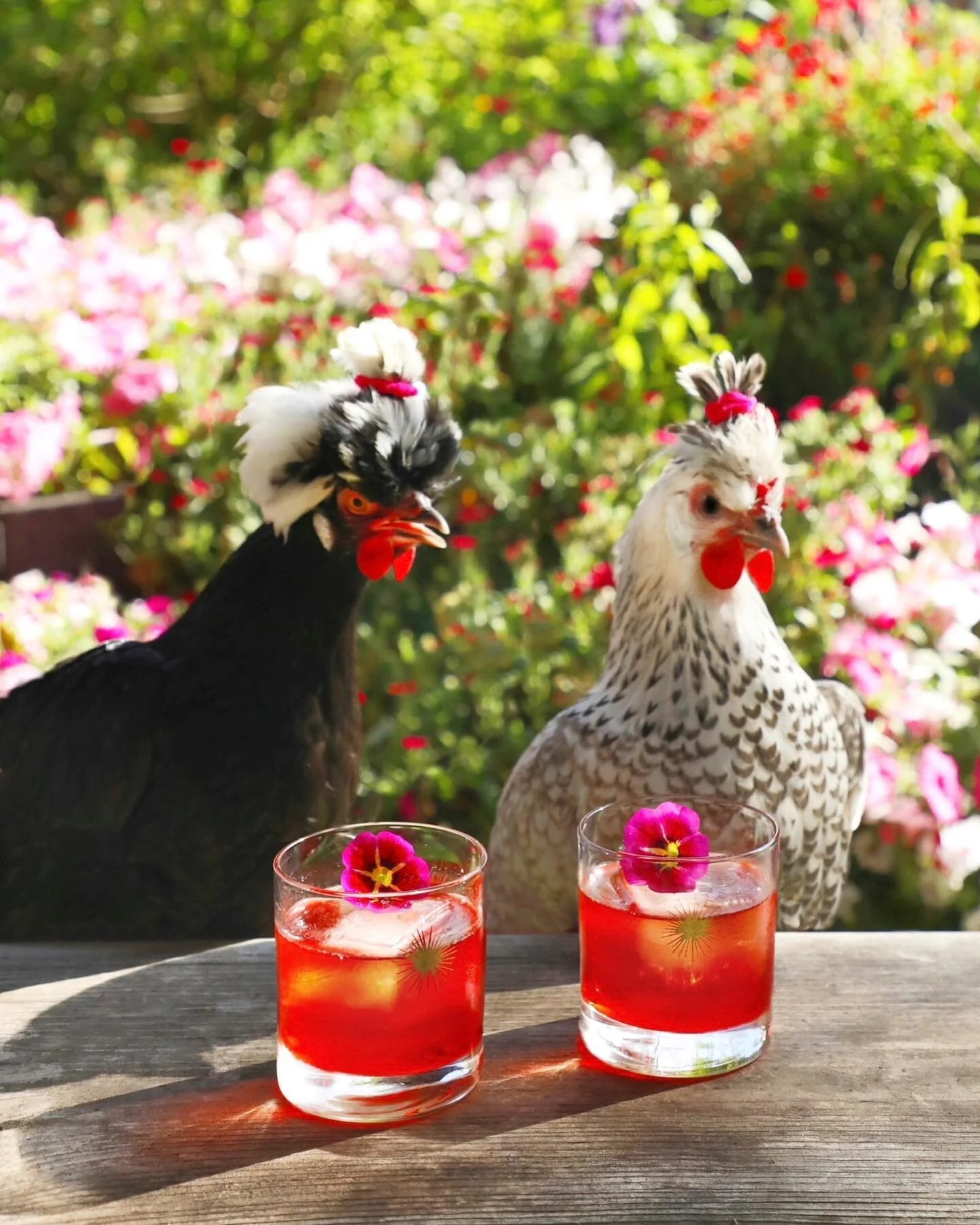 Mint Rose Petal Julep — Drinking With Chickens- Craft cocktail recipes