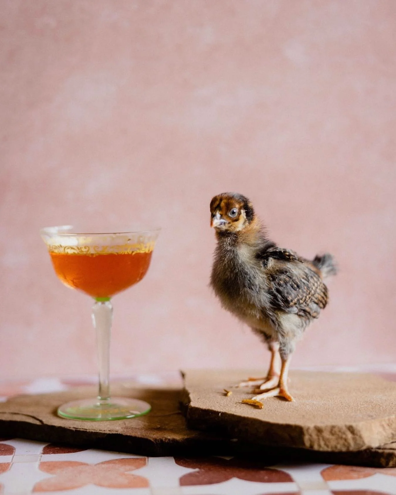 Water Dragon Margarita — Drinking With Chickens- Craft cocktail recipes