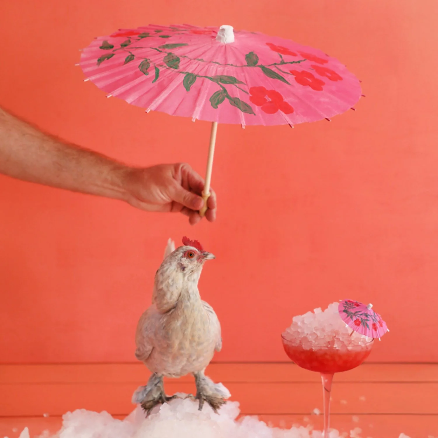 Drinking With Chickens | Craft Cocktail Recipes