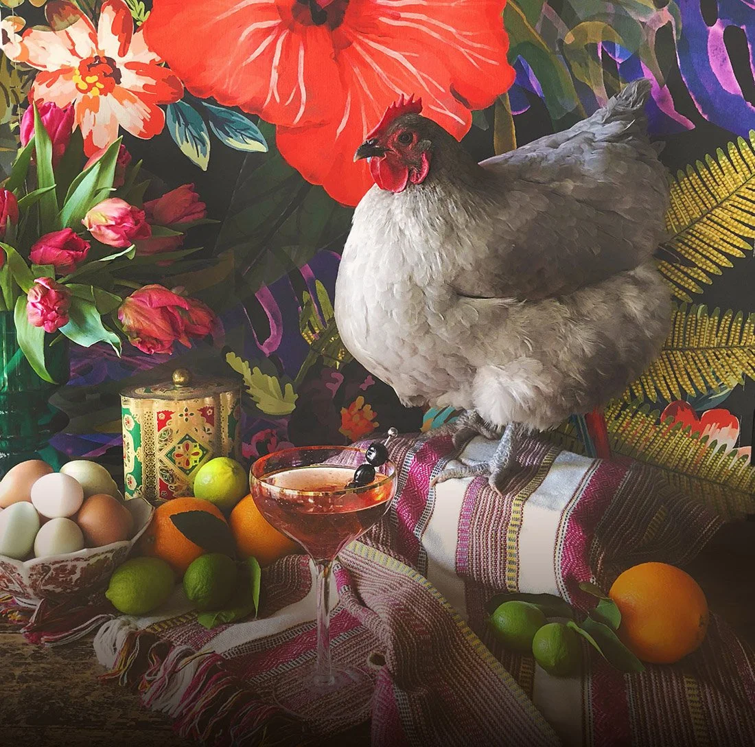 Drinking With Chickens | Craft Cocktail Recipes