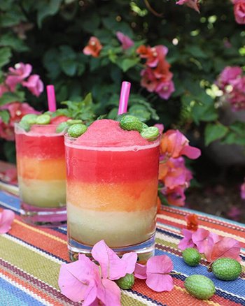 Triple Melon Mint Frozen Marg — Drinking with Chickens- craft cocktail ...