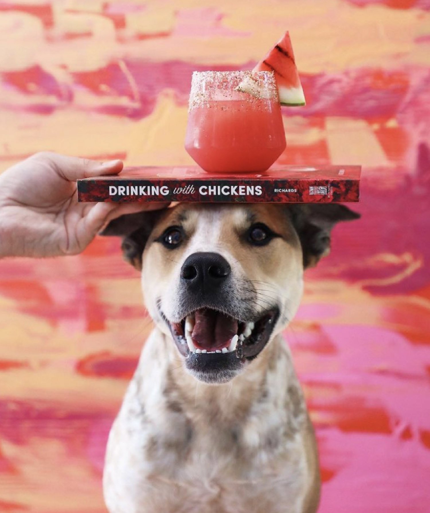 Drinking With Chickens | Craft Cocktail Recipes