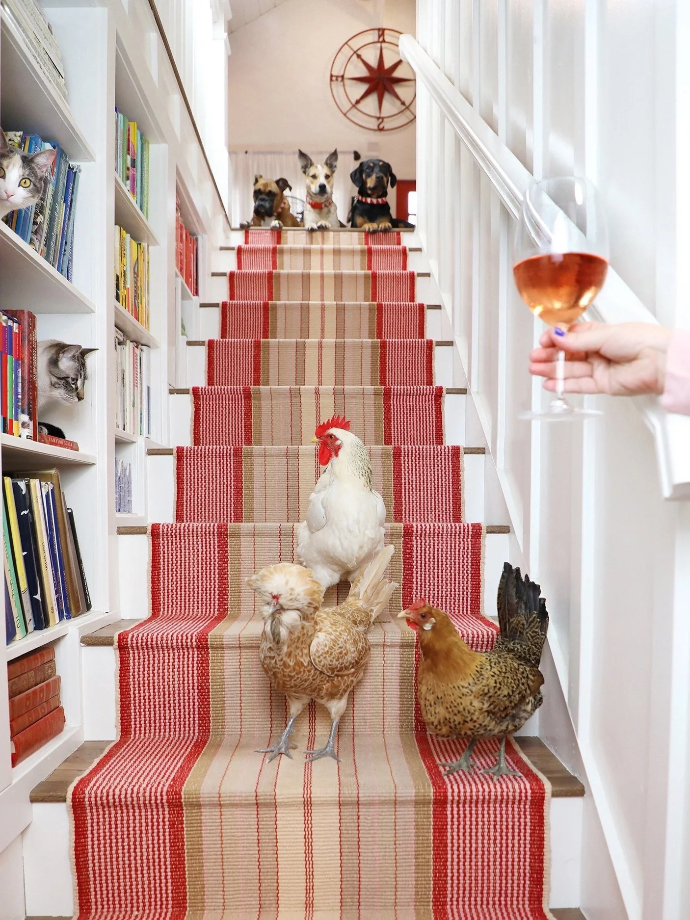 Drinking With Chickens | garden-to-glass craft cocktail recipes and ...