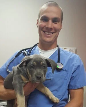 Orthopedic Surgery — Complete Care Animal Hospital — Complete Care ...