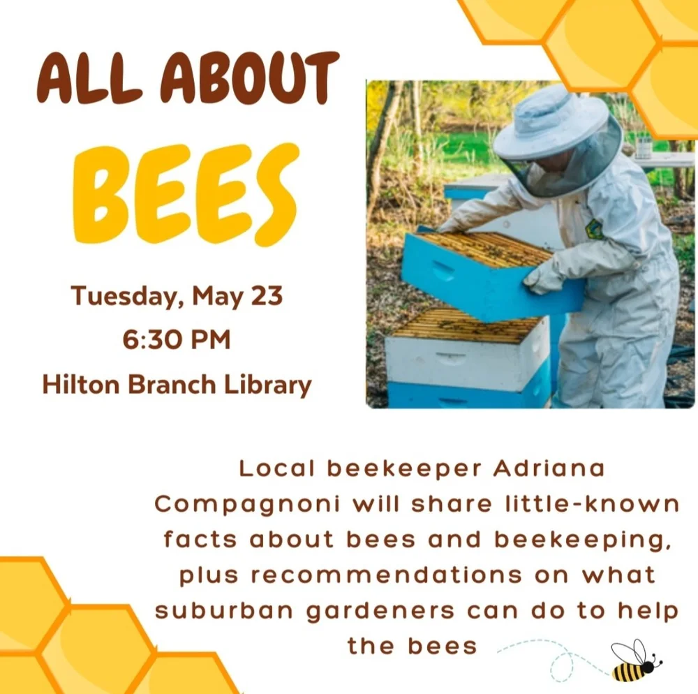 All About Bees — SOMAPSO: Life in Maplewood and South Orange