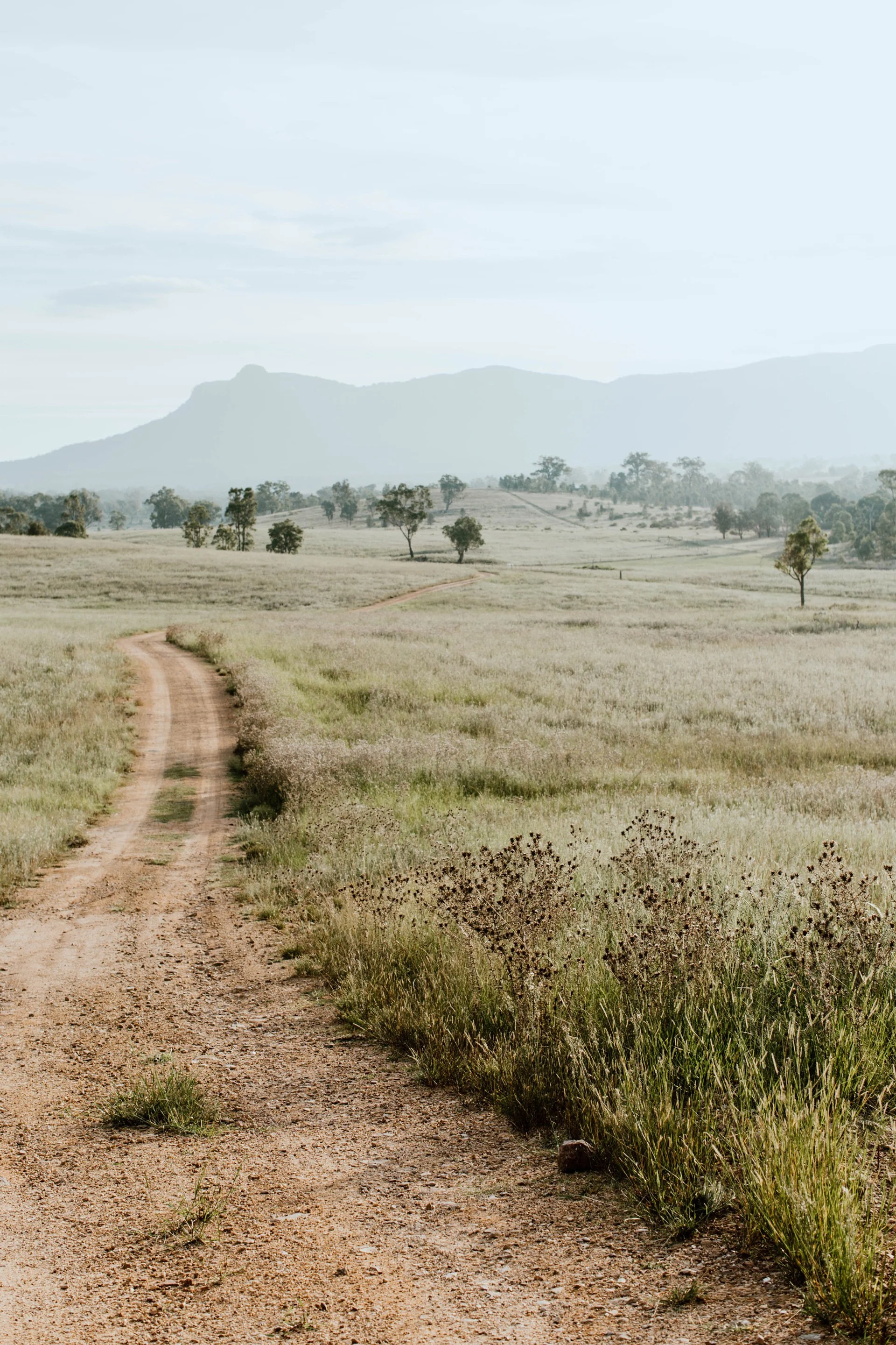 Mudgee Accommodation | Warramba, Capertee Valley