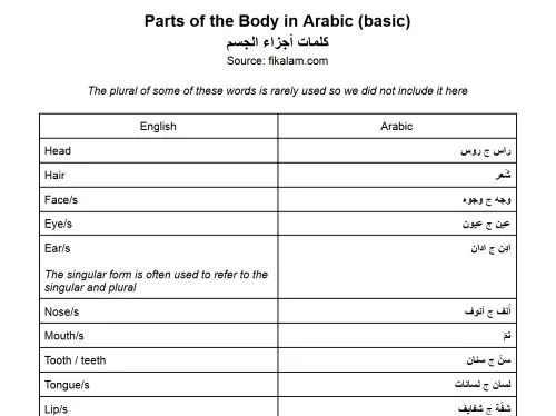 Parts of the Body in Arabic — Fi Kalam