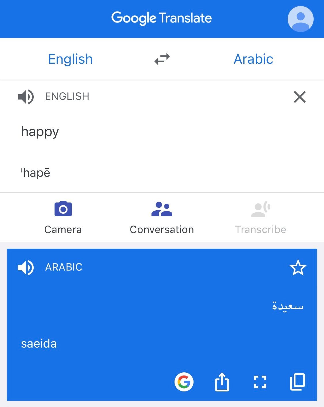 Top 5 Levantine Arabic Dictionaries — Fi Kalam