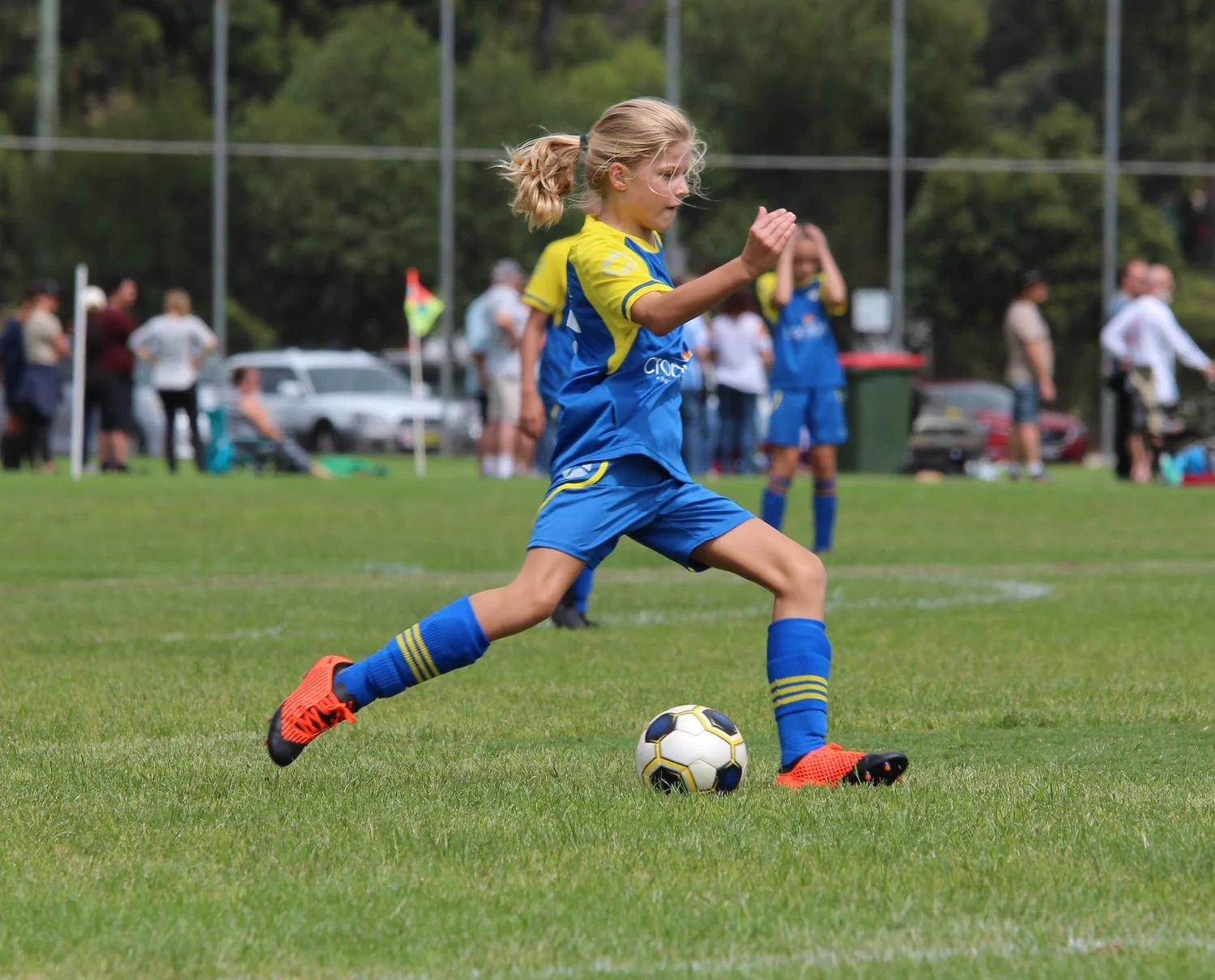 Cronulla RSL Community - Cronulla Sport & Social Groups!