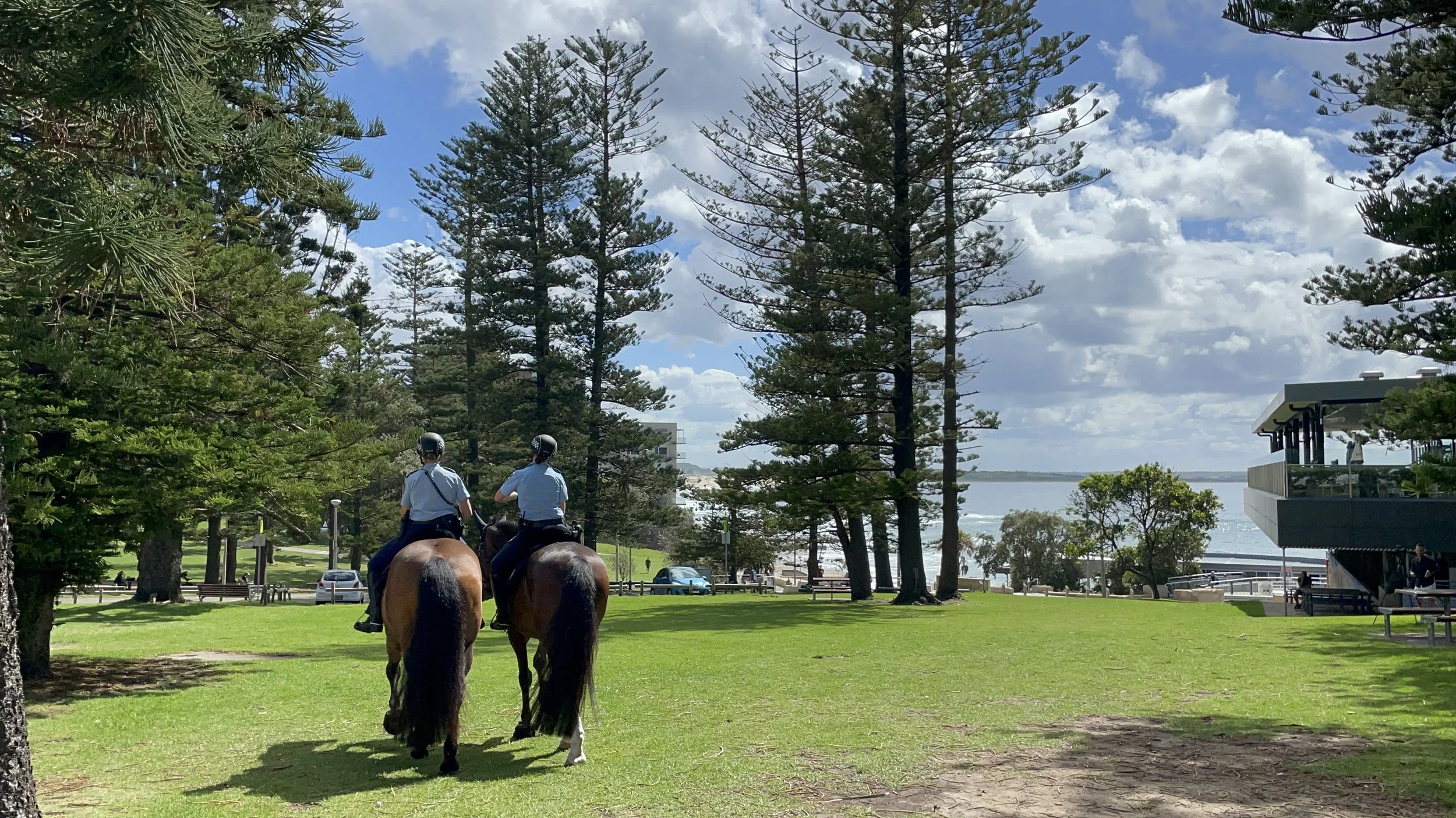 Commemorate War Animal Day in Cronulla — Cronulla RSL Community
