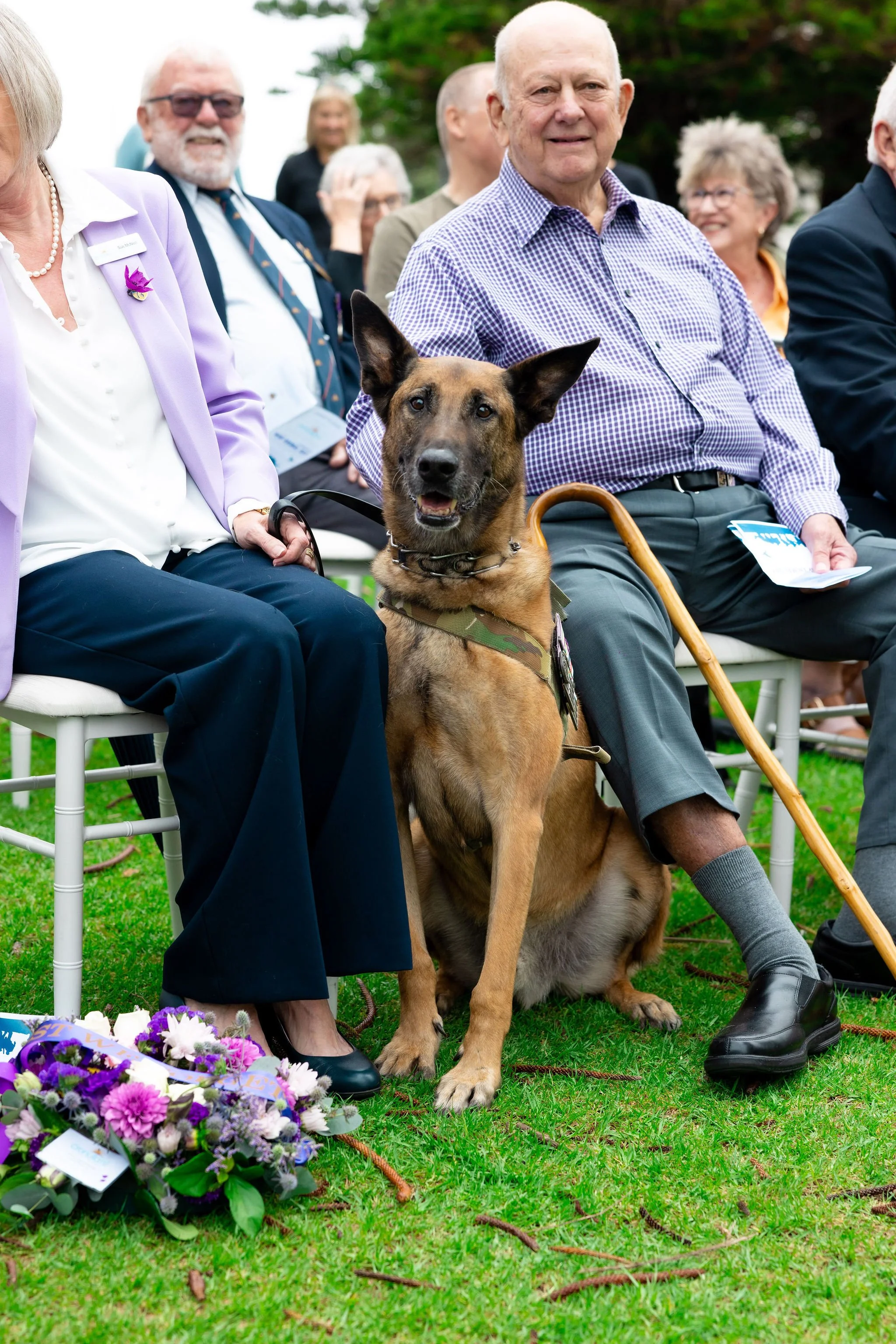War Animal Day in Cronulla — Cronulla RSL Community