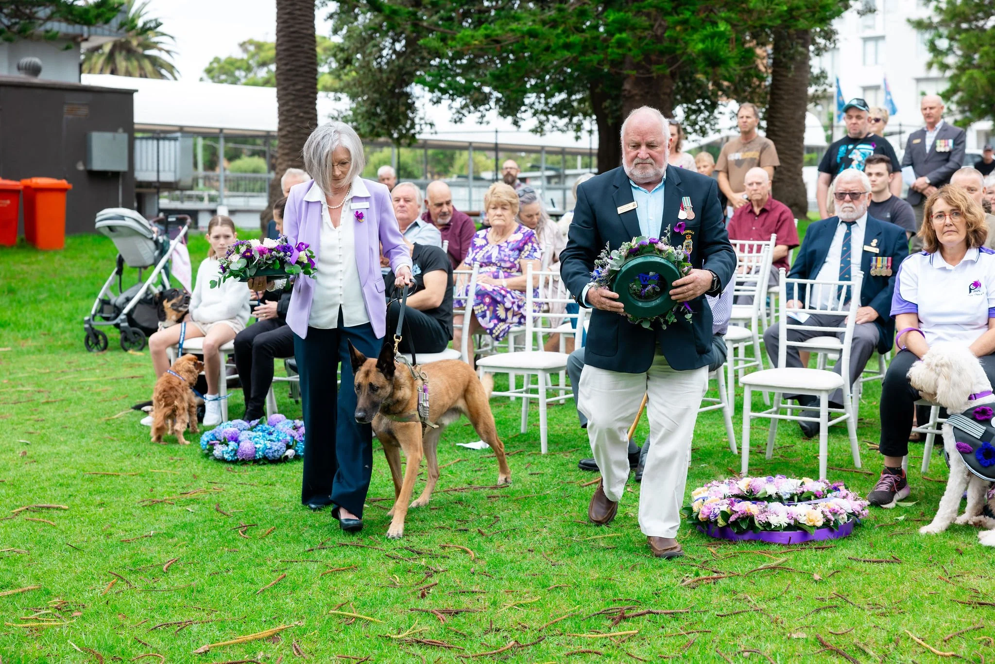 War Animal Day in Cronulla — Cronulla RSL Community
