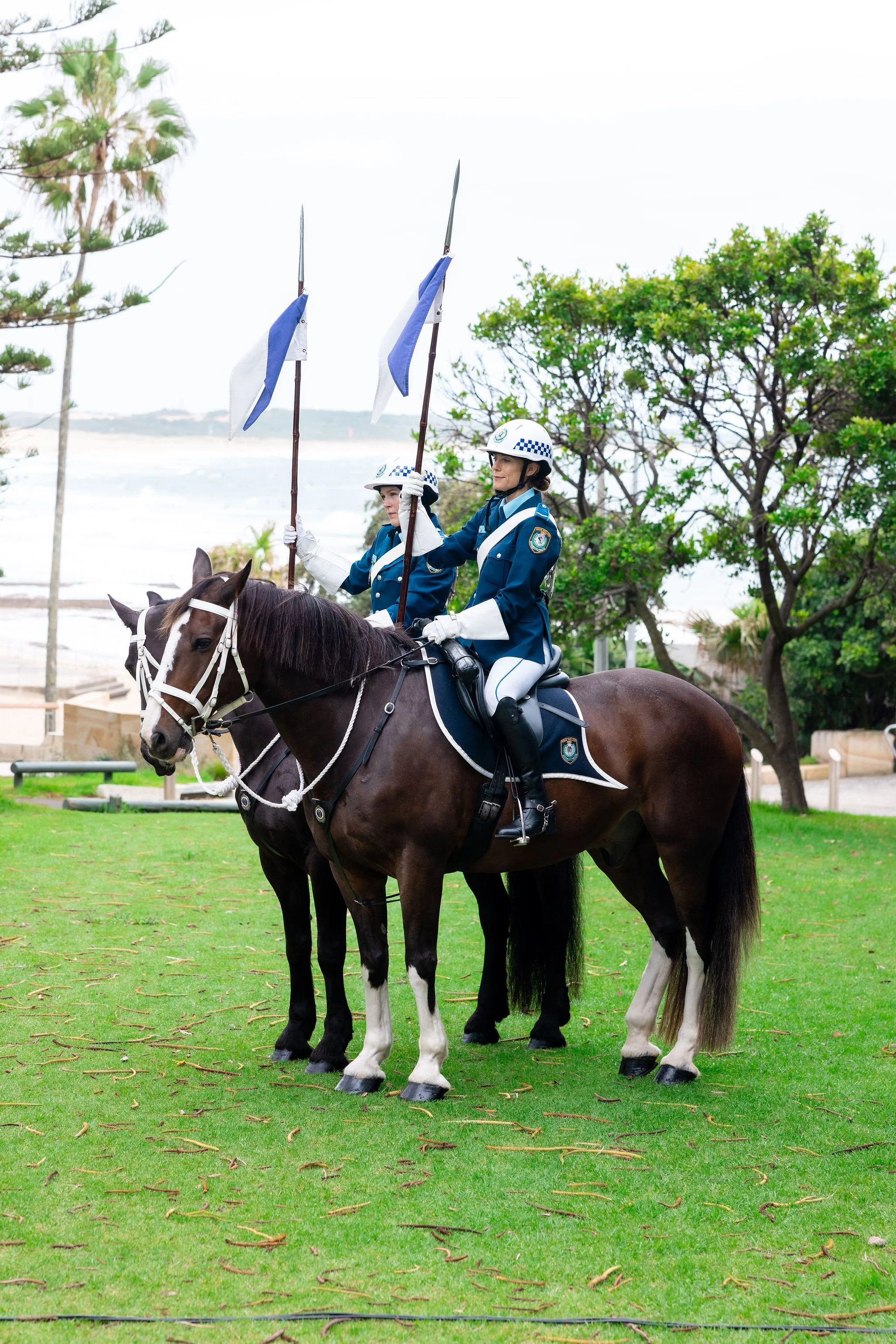 War Animal Day in Cronulla — Cronulla RSL Community