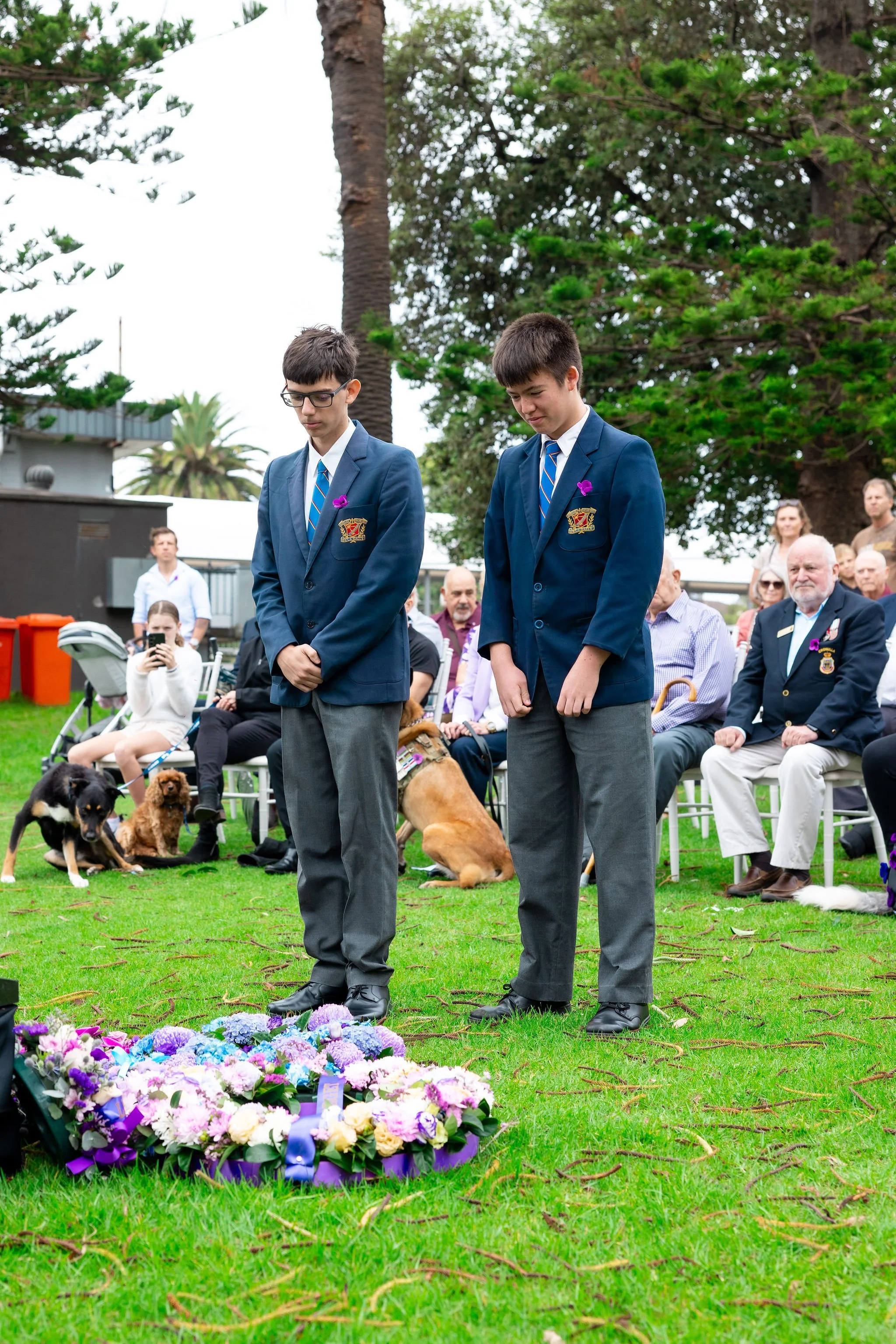 War Animal Day in Cronulla — Cronulla RSL Community