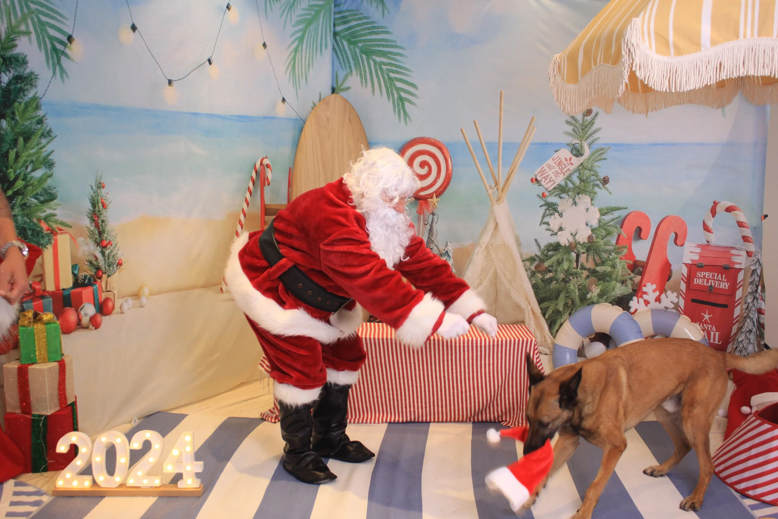 Santa Photos in Cronulla — Cronulla RSL Community