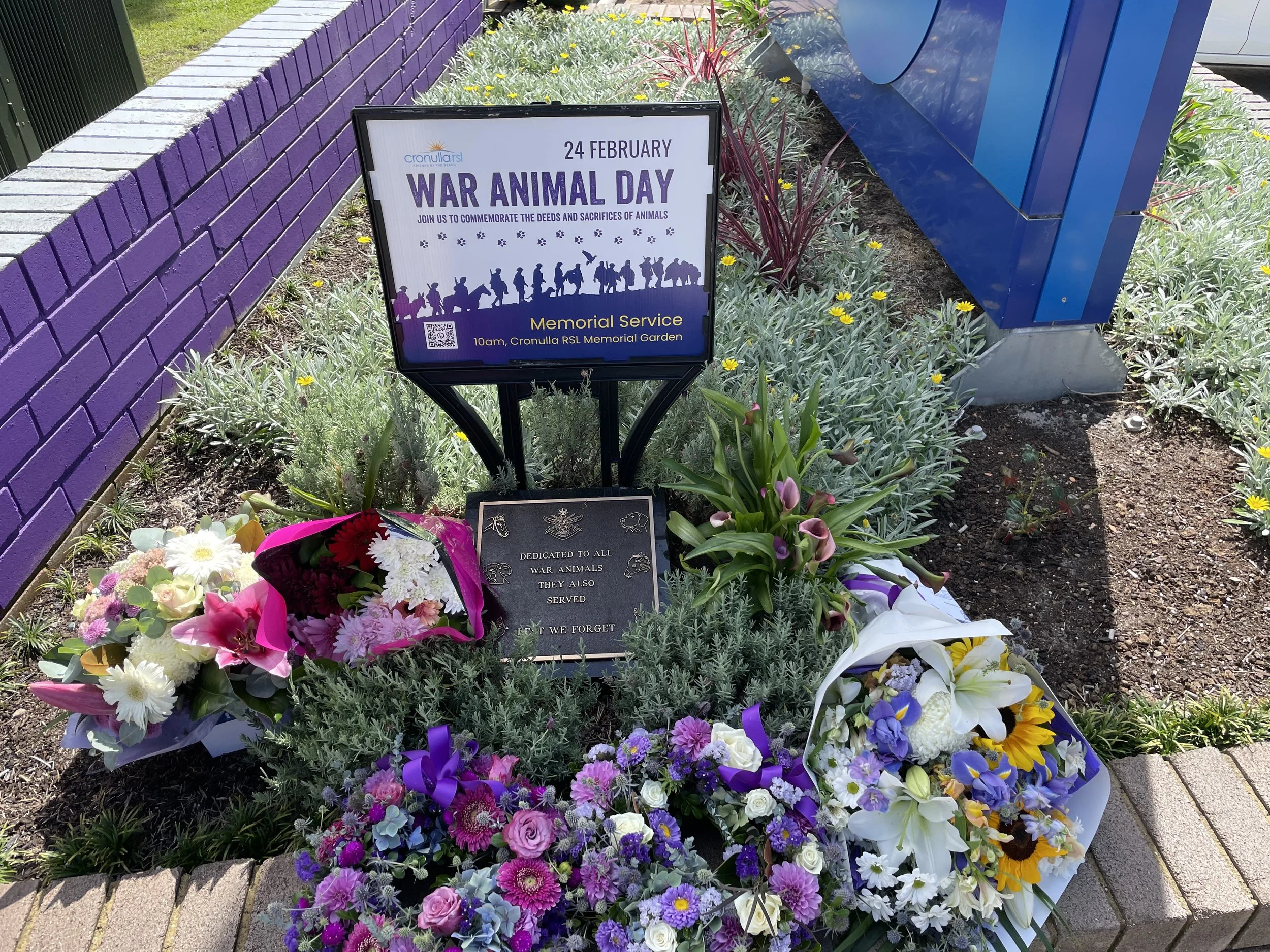 Hold War Animal Day at your club — Cronulla RSL Community