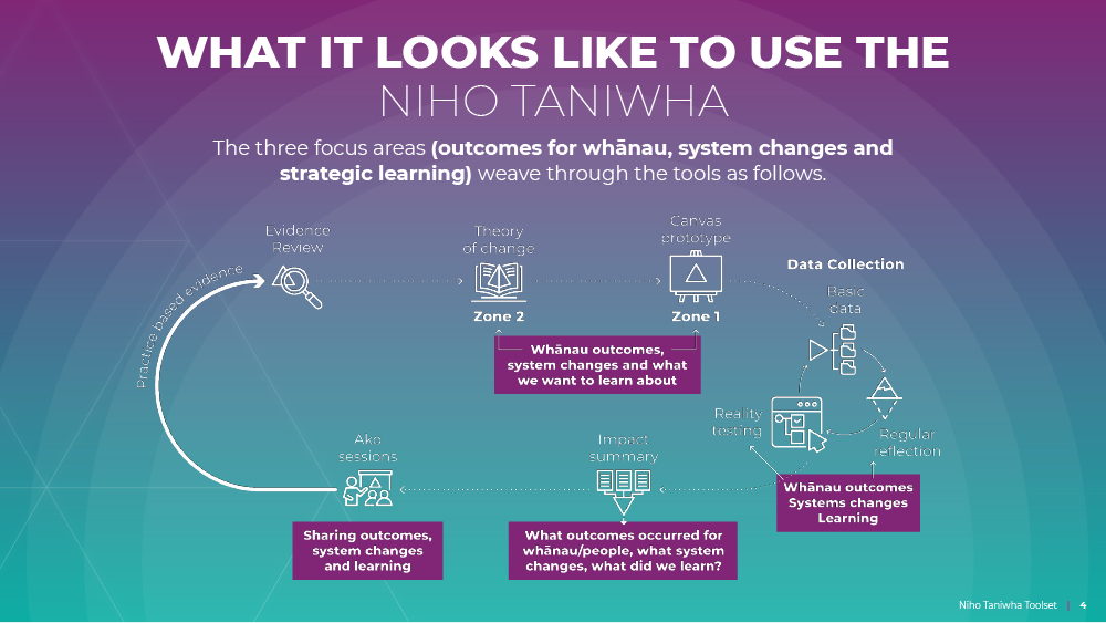 Niho Taniwha — The Southern Initiative