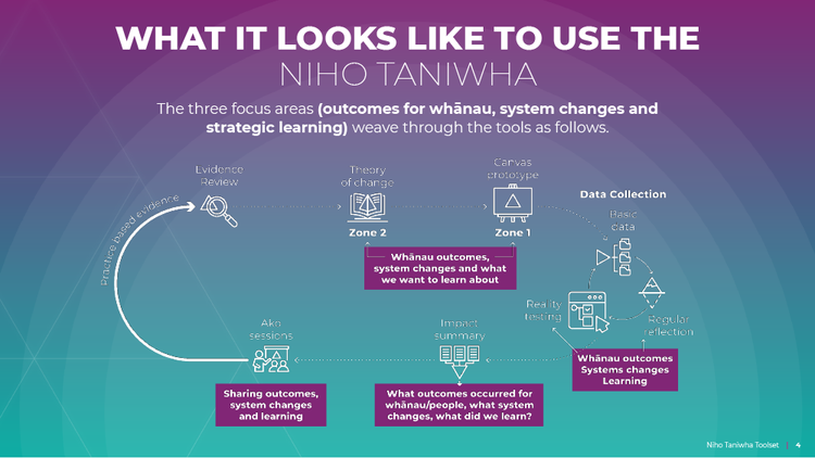 Niho Taniwha — The Southern Initiative