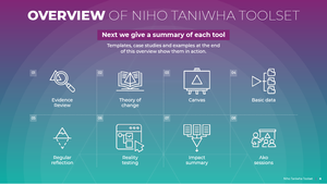 Niho Taniwha — The Southern Initiative