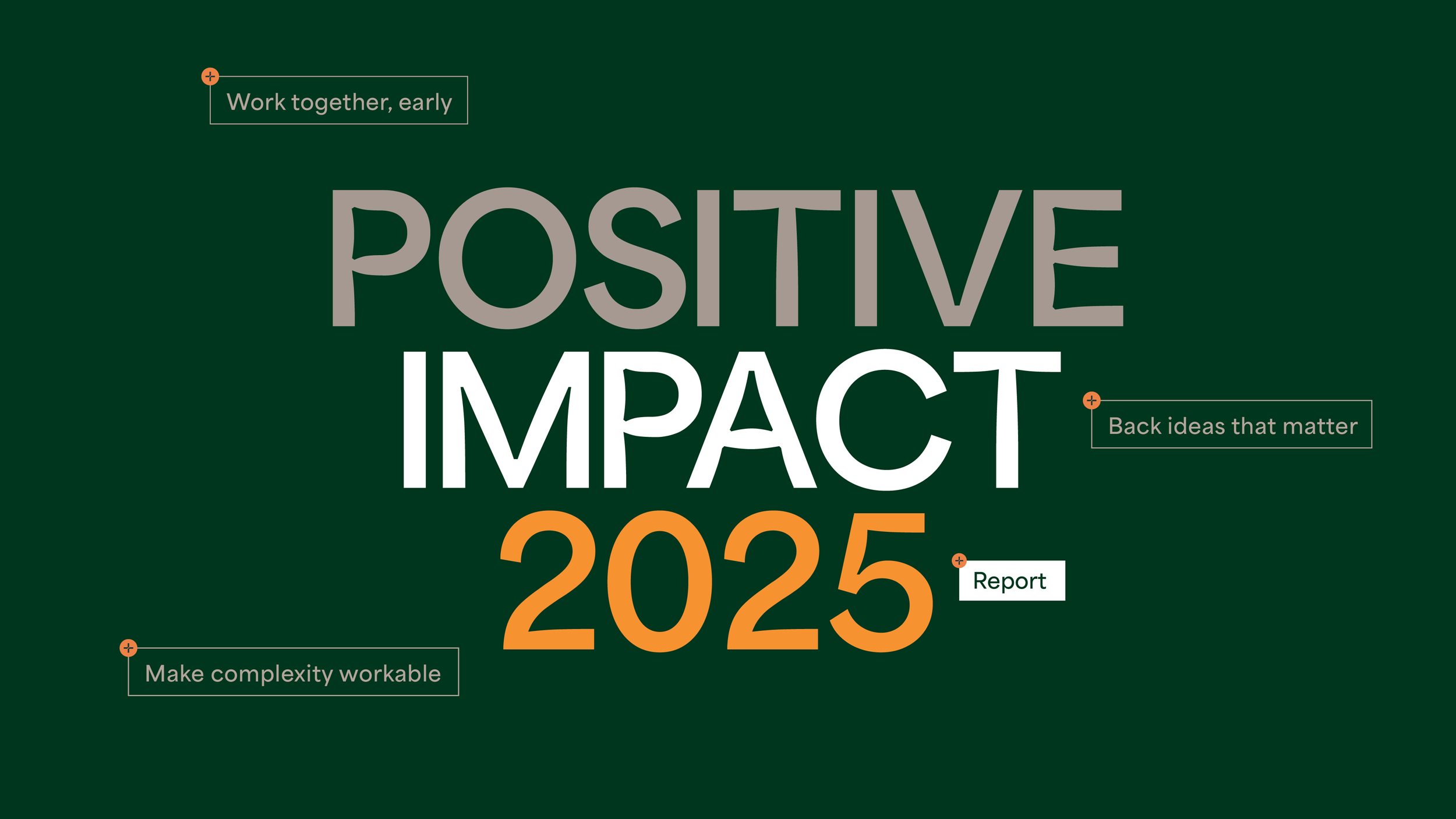 Positive Impact 2025 — Schimann