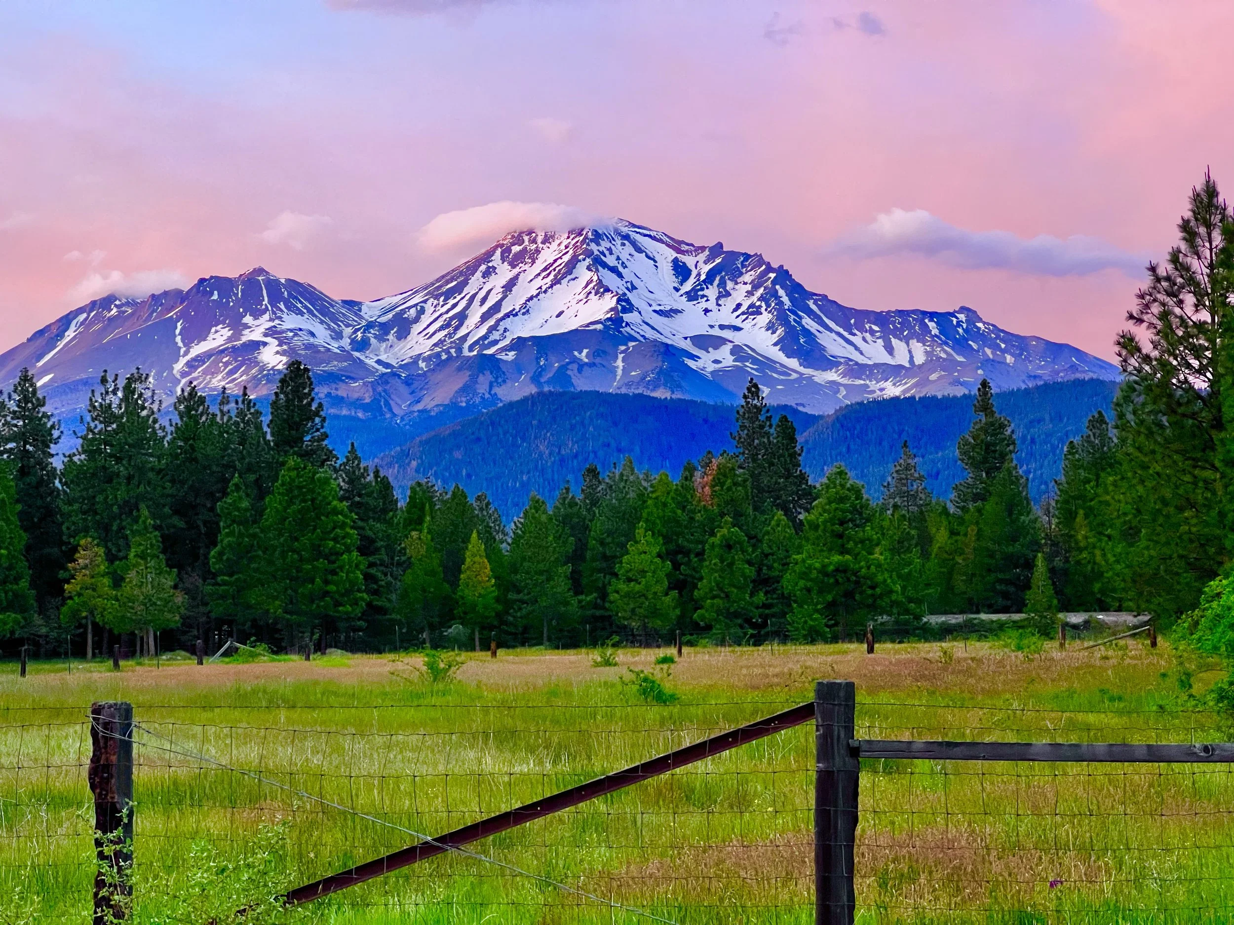 Mt Shasta Vortex Tours & Spiritual Retreats | Paul of Venus