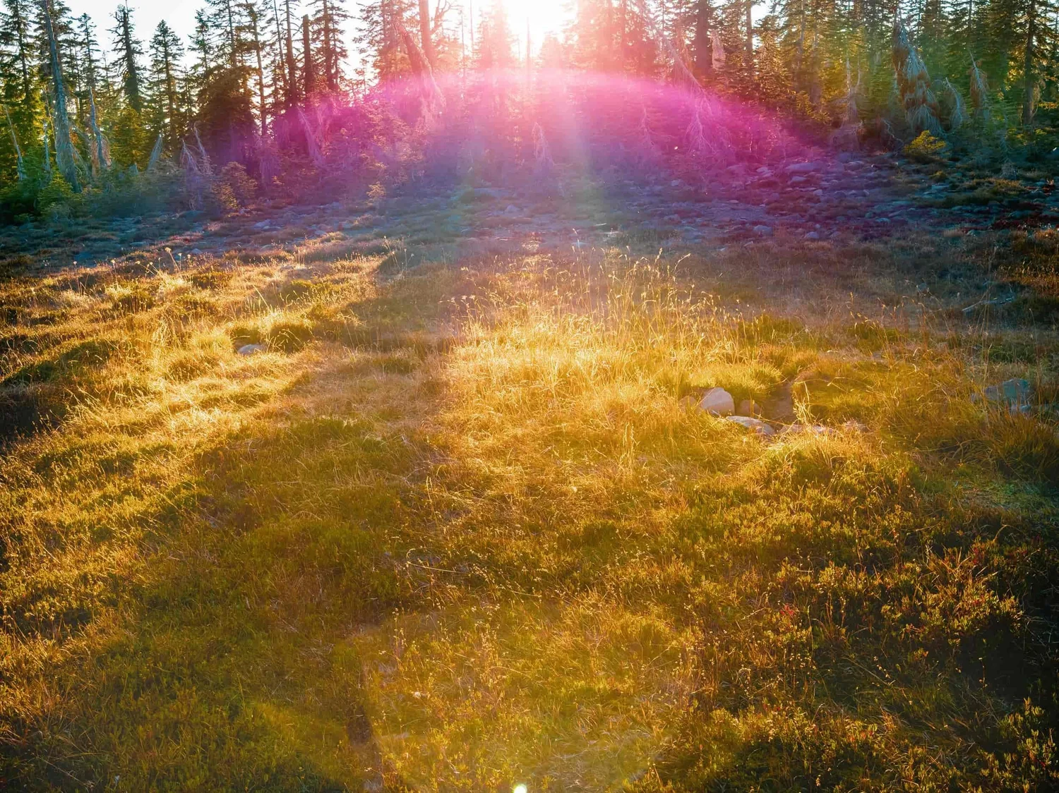 Mt Shasta Vortex Tours & Spiritual Retreats | Paul of Venus