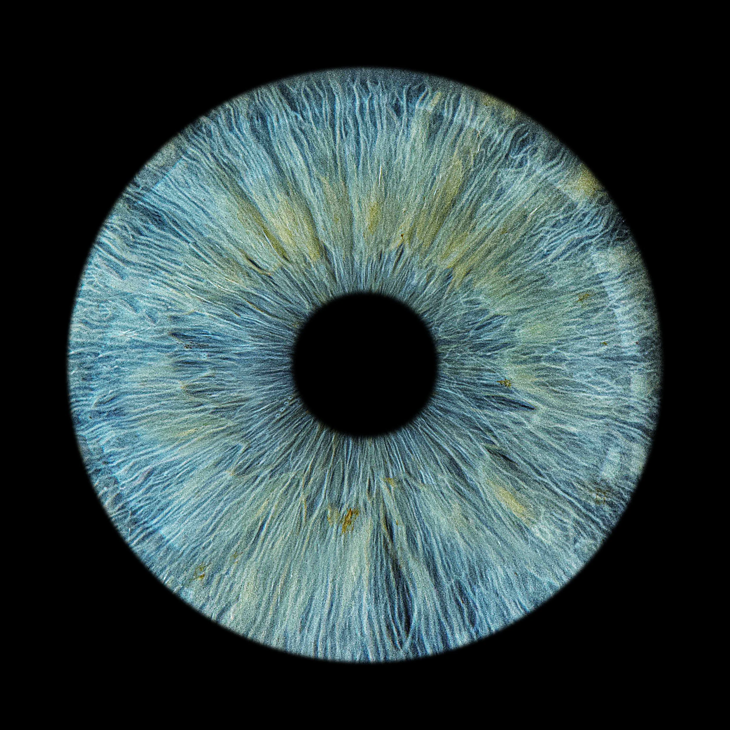 Iris Eye Photography
