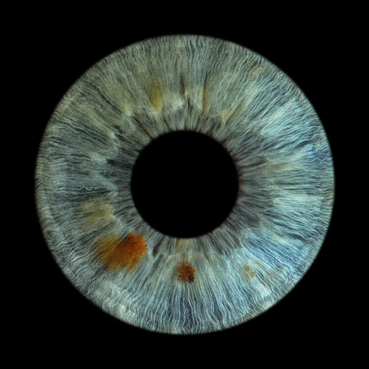 Iris photo NYC, New York | OCHEY