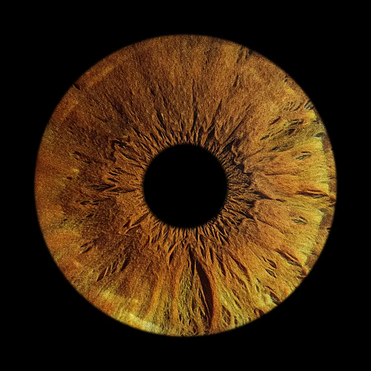 Iris photo NYC, New York | OCHEY