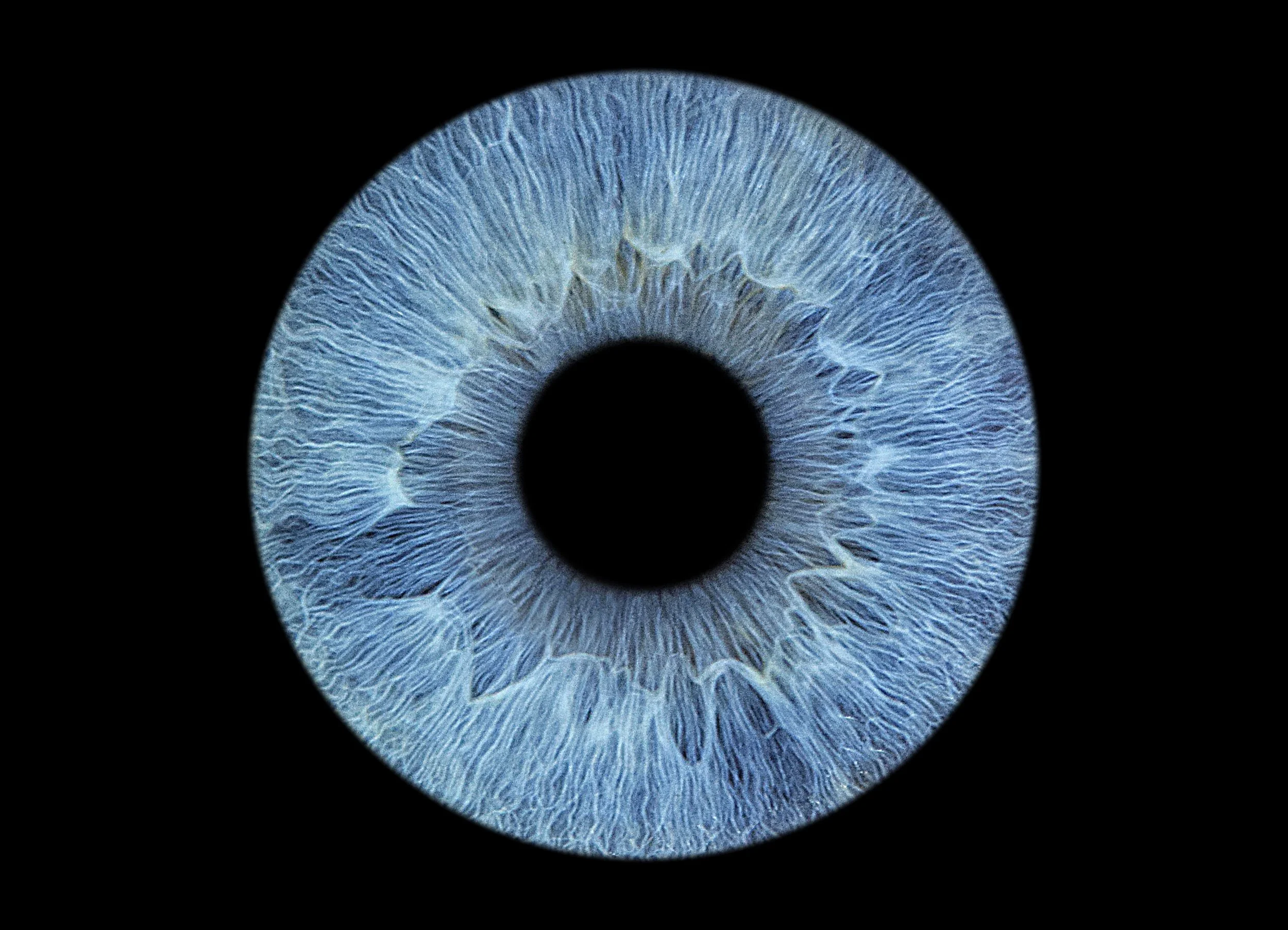 Iris photo NYC, New York | OCHEY