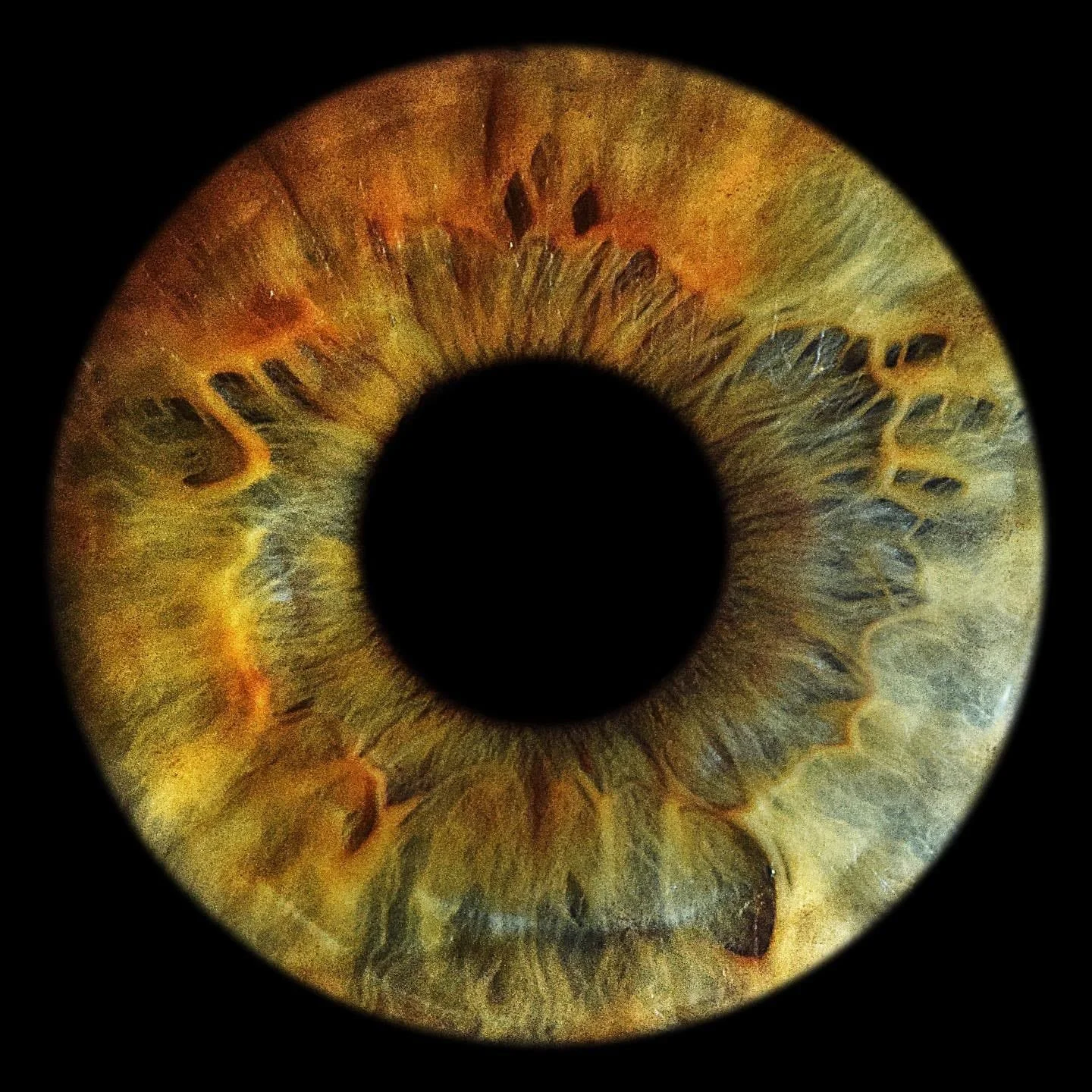 Iris photo NYC, New York | OCHEY