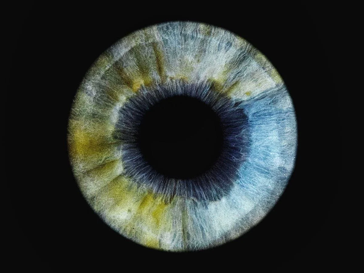 Iris photo NYC, New York | OCHEY