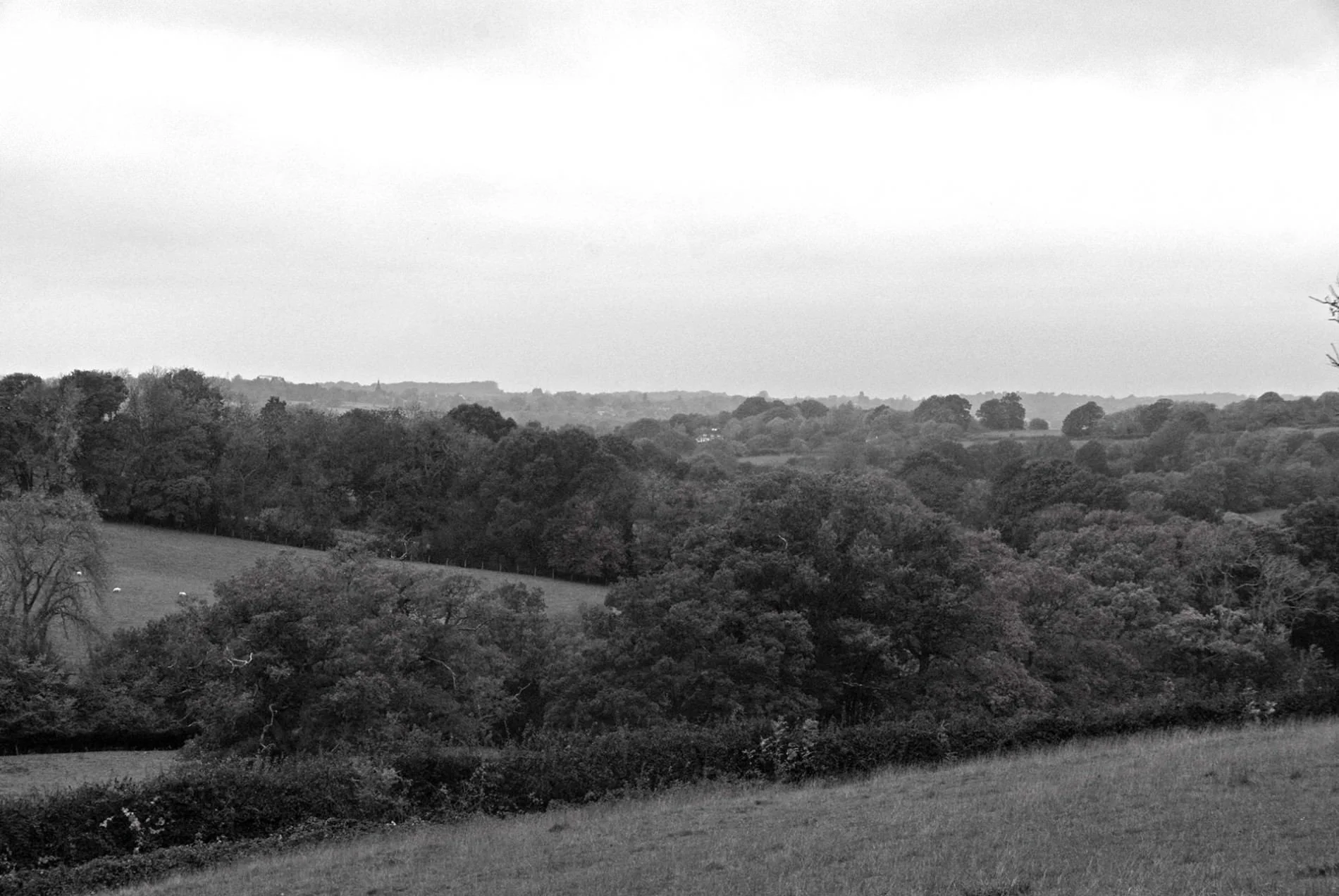 Method — Angus Thompson