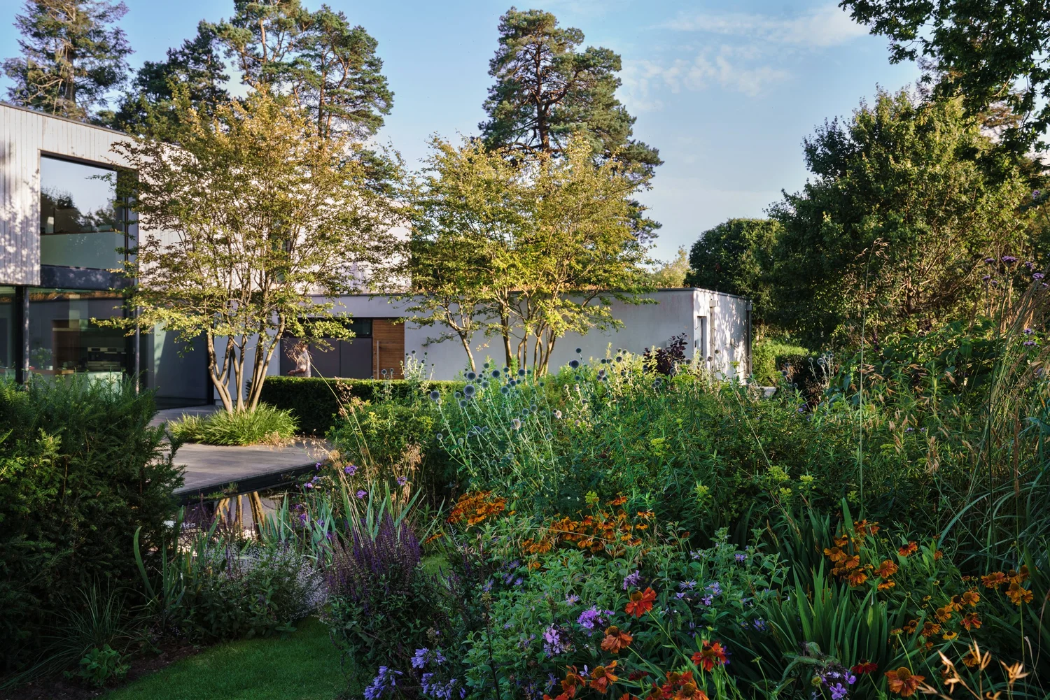 Modernist House — Angus Thompson