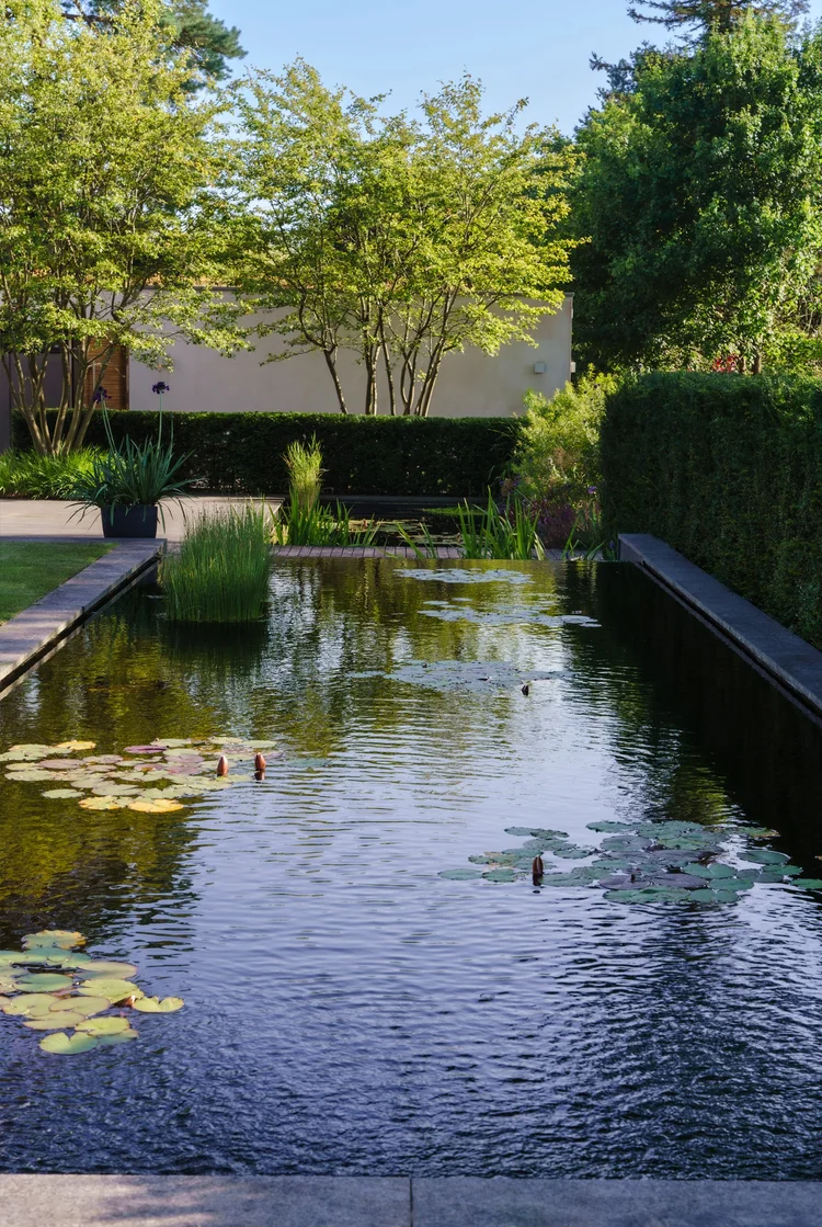 Modernist House — Angus Thompson