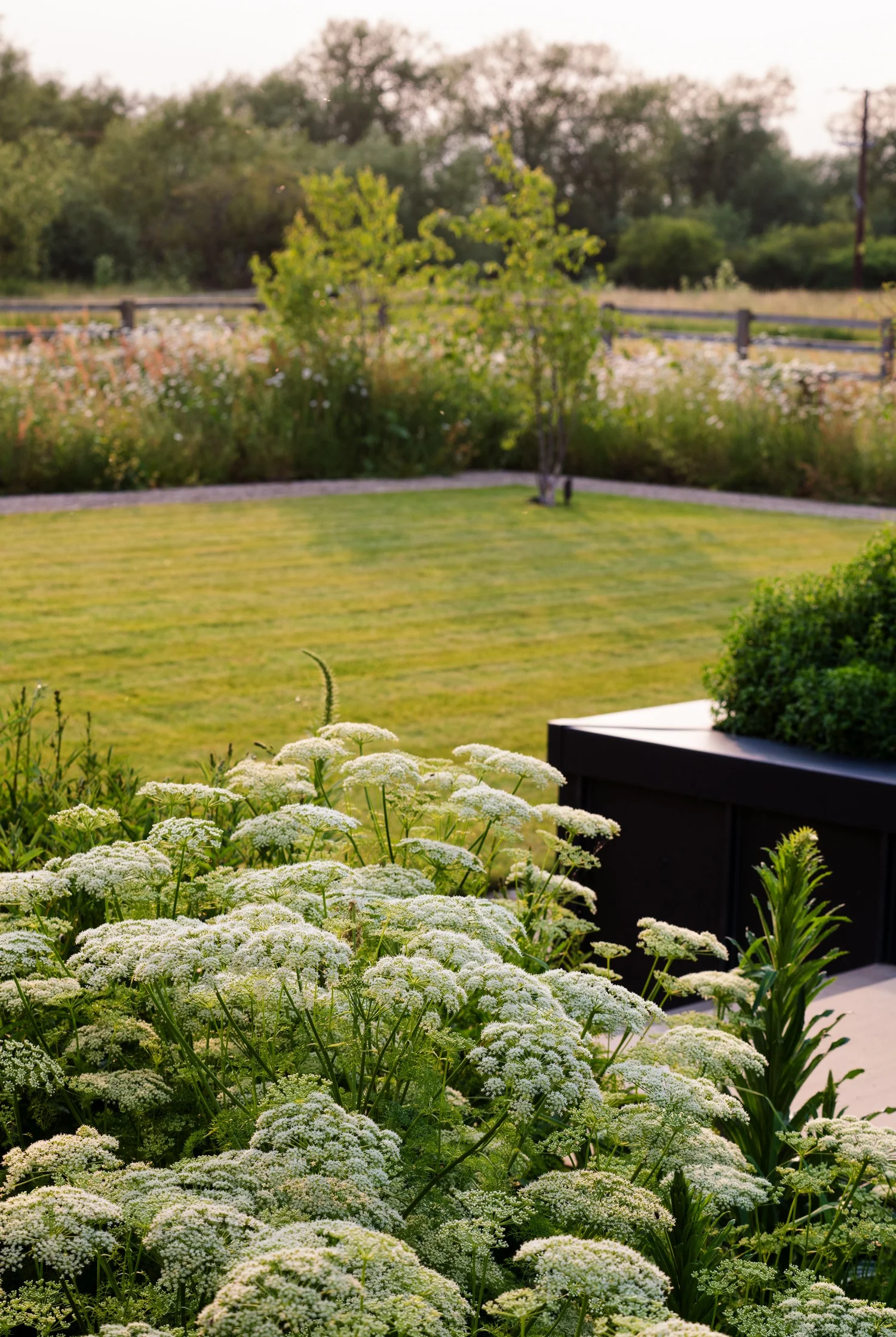 The Courtyard — Angus Thompson