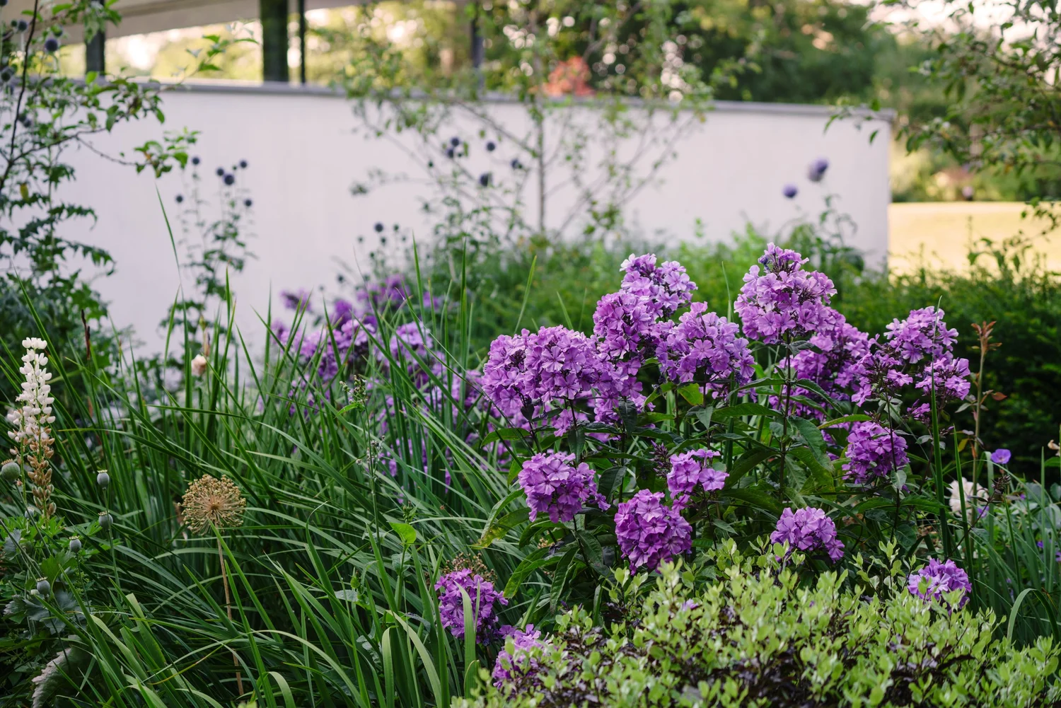 Modernist House — Angus Thompson