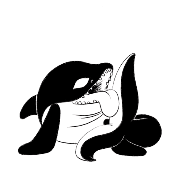 About — Studio Orca