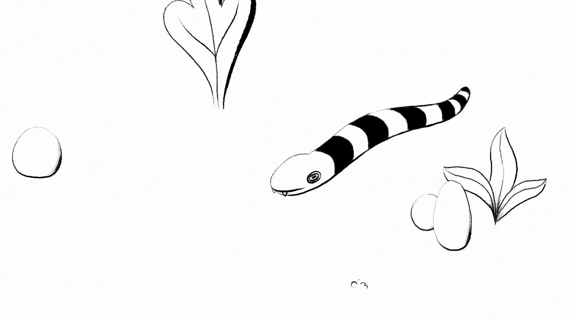 Japanese Television - Shake Snake - Official Music VIdeo — Studio Orca