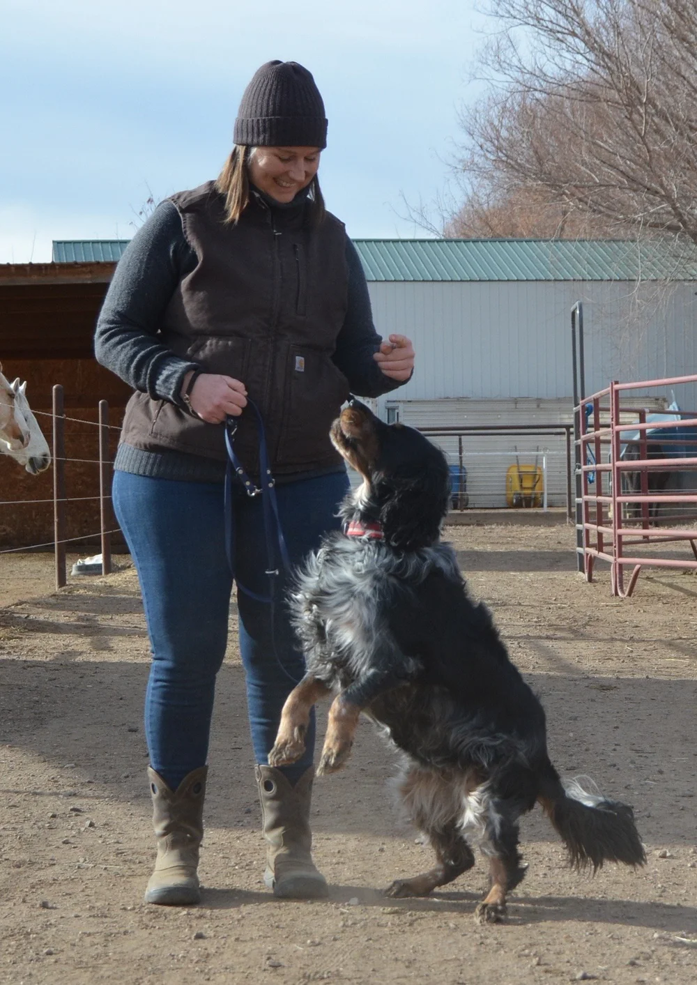 Meet the Team — Canine Learning Center