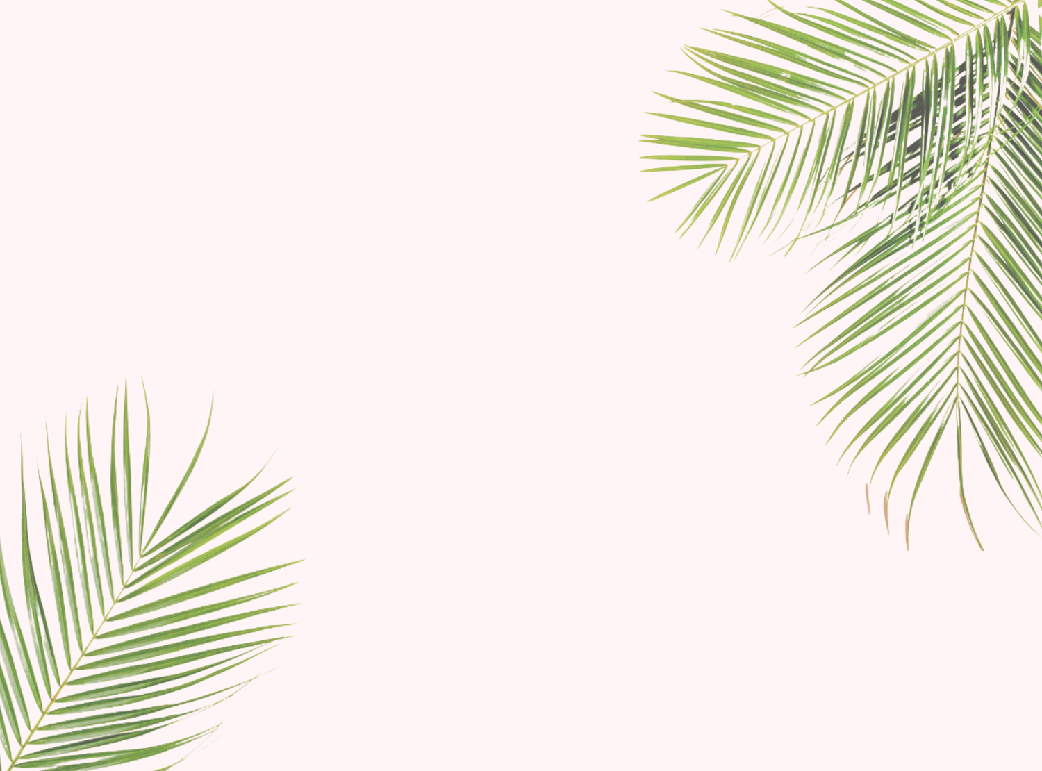 Realtor's Guide to a Perfect Social Media Content Strategy - Katy Rose ...