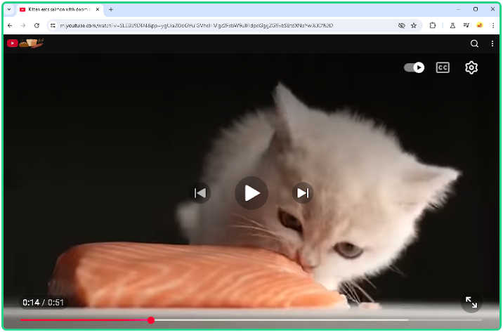 The Secret Header: How iMessage Link Previews “Skip” YouTube Ads — Hexordia